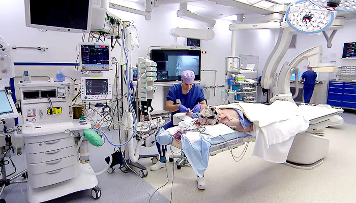 Trauma Centrum: operatie vernauwde halsslagader - Catharina Ziekenhuis