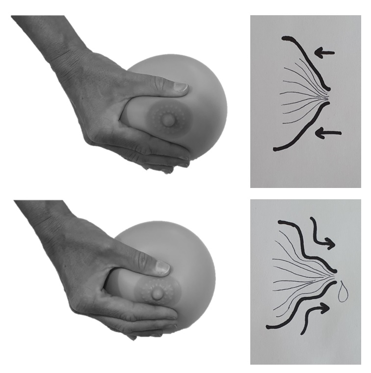 Informatie over kolven (Folder) - Catharina Ziekenhuis